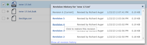 Getting Started with GoDrive